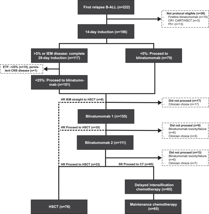 Reduced-intensity reinduction for children and young persons with ...